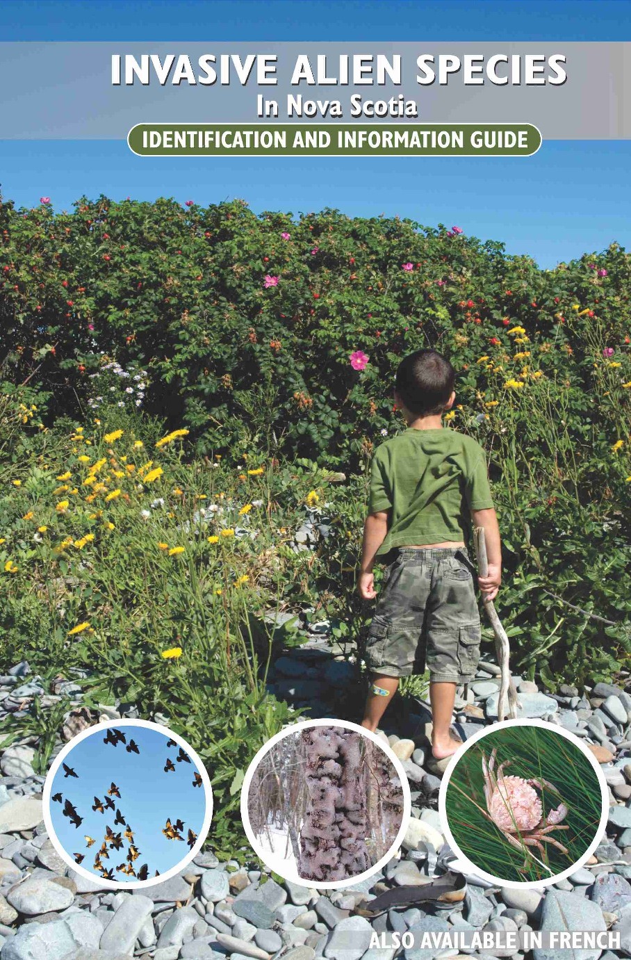 Invasive Alien Species | Landowner Stewardship Guide