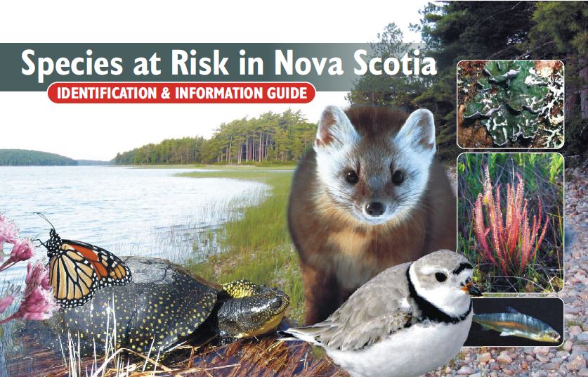 Welcome | Landowner Stewardship Guide